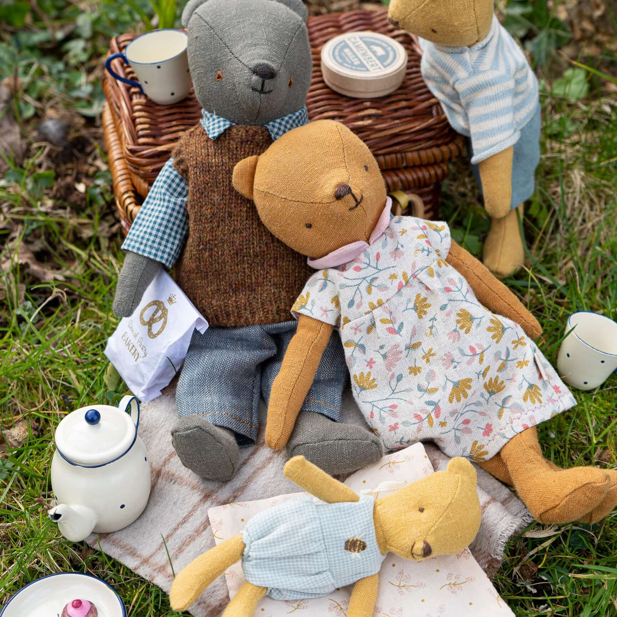 Teddyfamilypicnic1_03b1f393-856a-4430-92f0-75d258b47cc4.jpg?crop=center ...